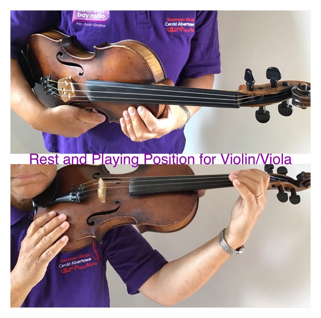 Viola - Swansea Virtual School